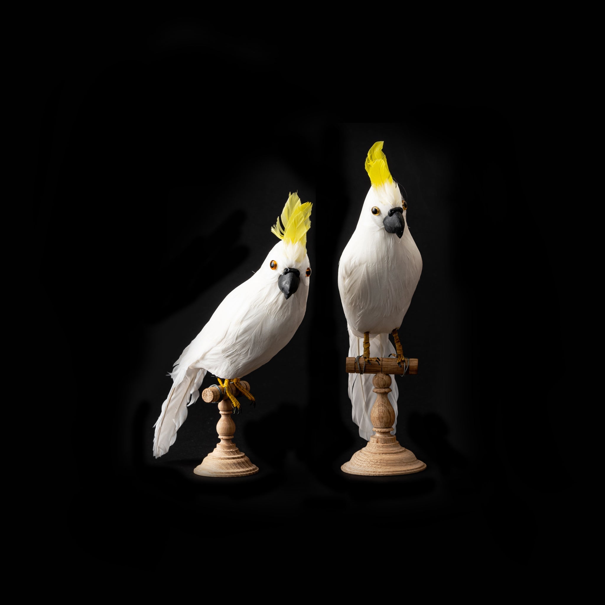 ARTIFICIAL BIRDS Parrot / Small – PUEBCO EUROPE