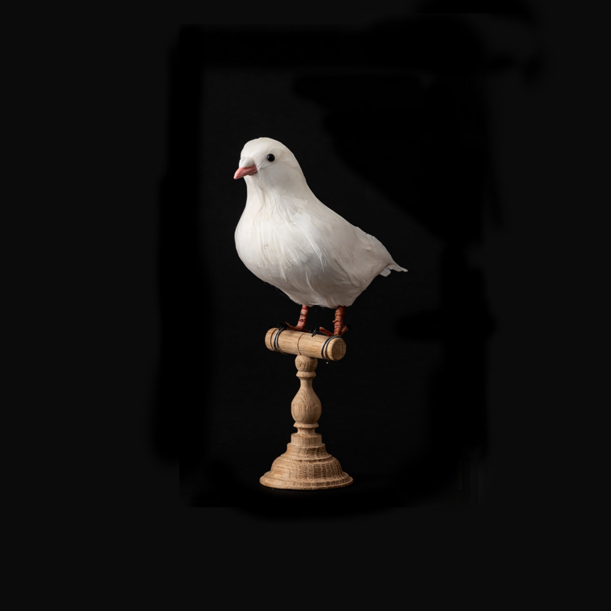 ARTIFICIAL BIRDS Dove / Small – PUEBCO EUROPE